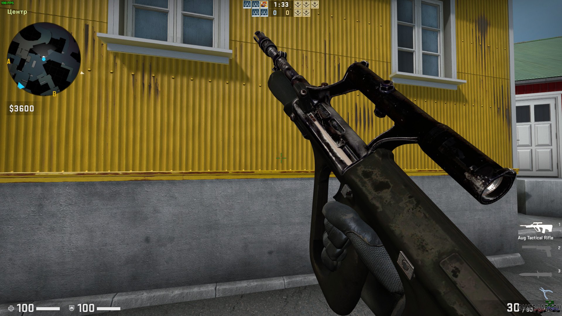 CoD BOCW AUG Tactical Rifle - AUG - Counter-Strike: Global Offensive ...