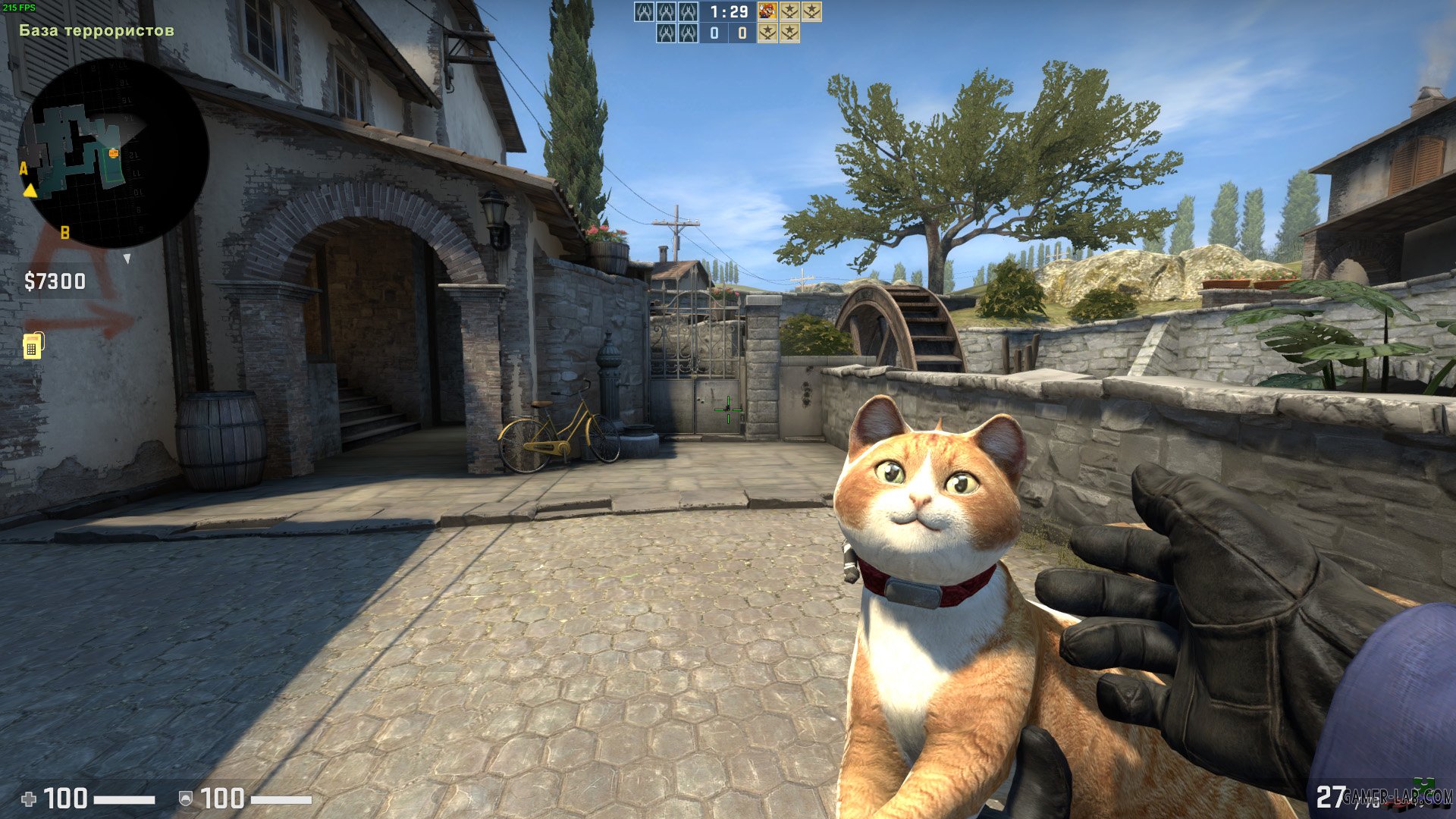 Cat gun - AK-47 - Counter-Strike: Global Offensive - Модели оружия ...