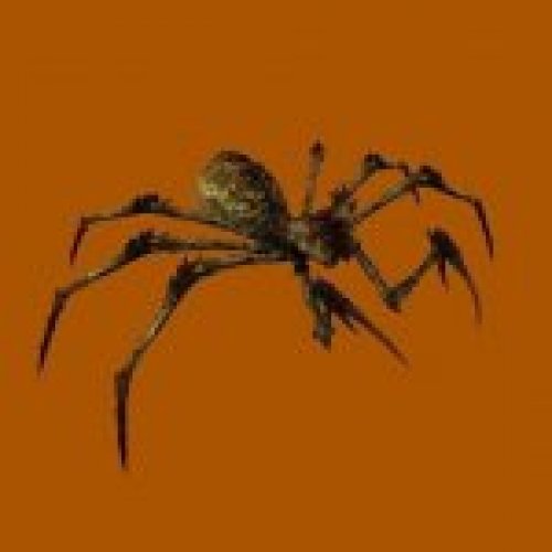 Spider Mutant - Zombies - Counter-Strike 1.6 - Player models - Goldsrc ...