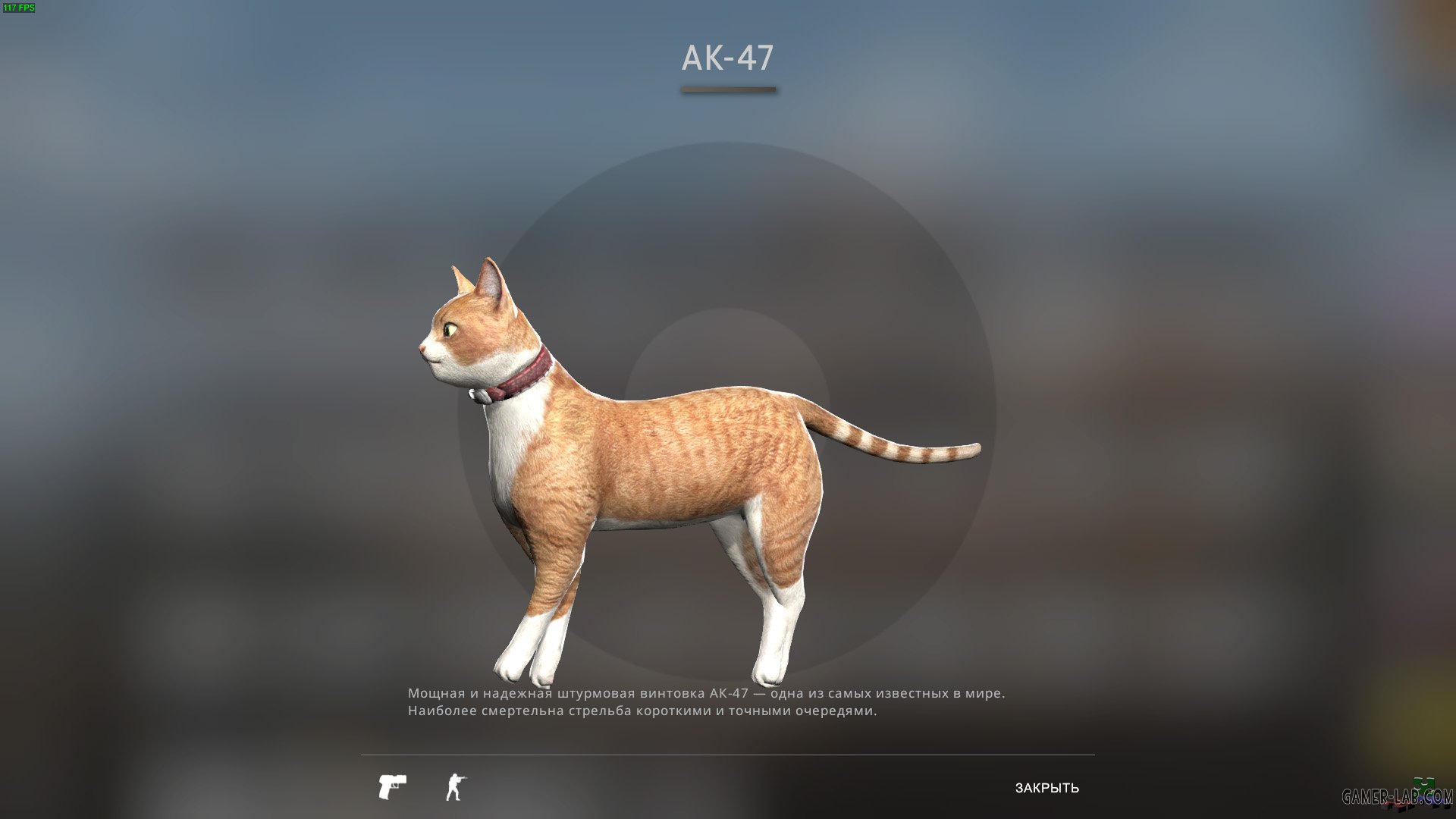 Cat gun - AK-47 - Counter-Strike: Global Offensive - Weapon models ...