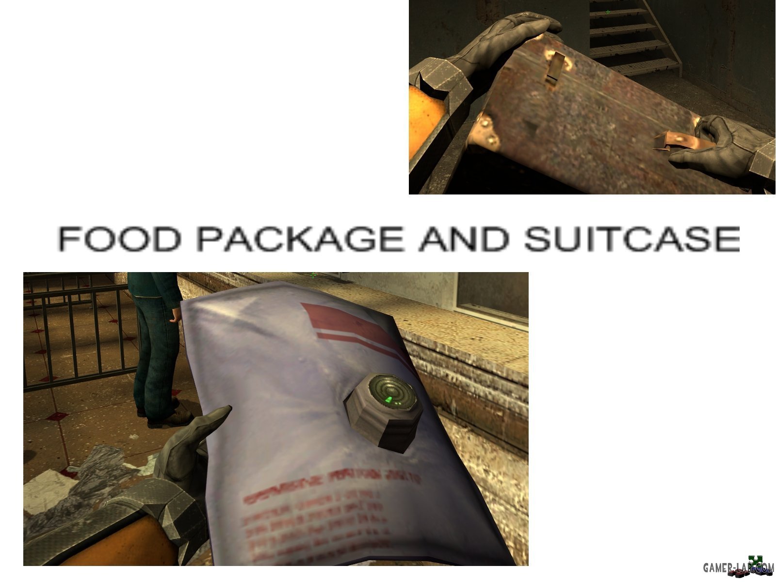 Food Package and Suitcase - Miscellaneous - Half-Life 2 - Weapon models ...