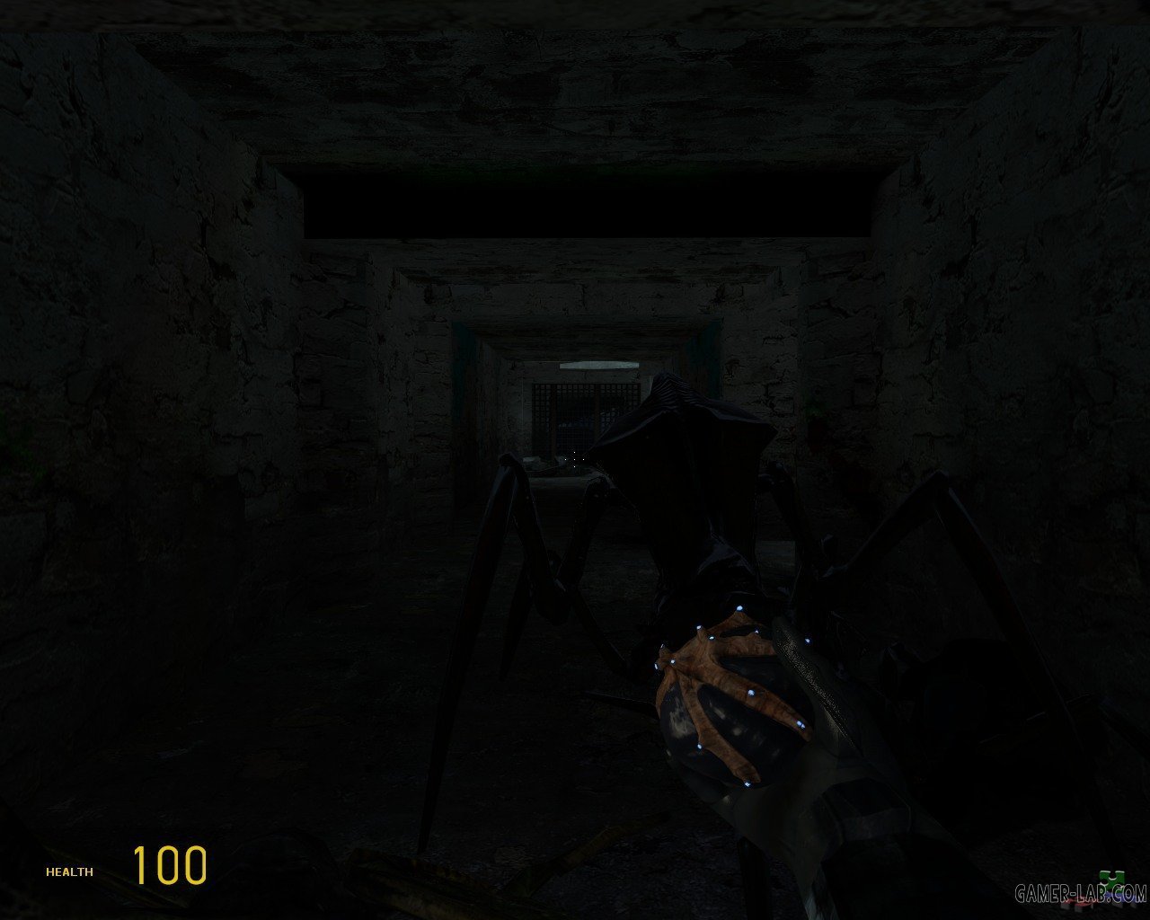 HDR bugbait - Spore - Half-Life 2 - Weapon models - Source Warehouse ...