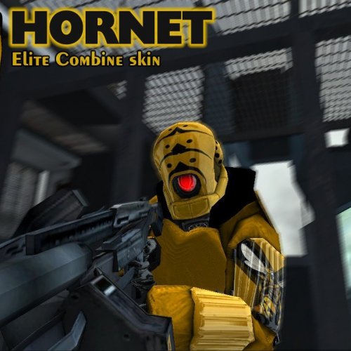 HORNET Elite Combine Skin - Military personnel - Biology ...
