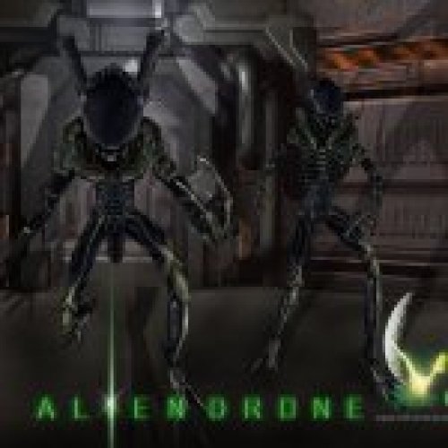 AVP2 Alien Drone - Monsters - Player Models - UT2004 Warehouse ...